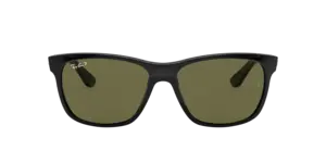 Ray-ban Rb4181 Sunglasses - G-15 Green