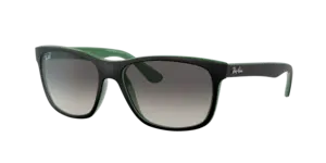 Ray-ban Ray-Ban RB4181 Sunglasses Grey