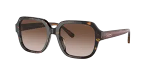COACH Coach Sunglasses Brown Gradient