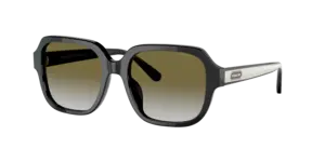 COACH Coach Sunglasses Olive Gradient