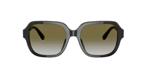 COACH Sunglasses - Olive Gradient