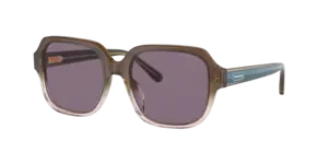 COACH Coach Sunglasses Violet Solid