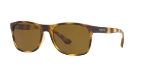 SUNGLASS HUT Sunglasses - Gradient Brown