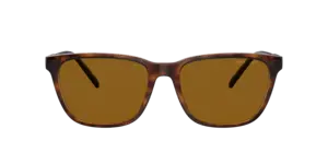 ARNETTE Cortex Sunglasses - Brown Polarized