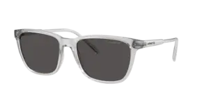 ARNETTE ARNETTE Sunglasses Dark Grey