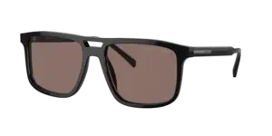 Prada Pr A22s Sunglasses - Polar Brown