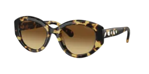 SWAROVSKI Sunglasses - Brown Gradient