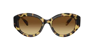 SWAROVSKI Sunglasses - Brown Gradient