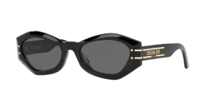 Dior DIOR Signature B1U Sunglasses Smoke
