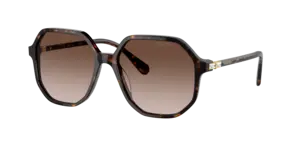 SWAROVSKI Sk6003 Sunglasses - Brown Gradient
