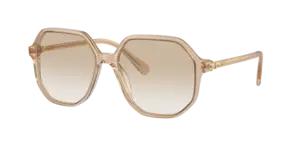 SWAROVSKI Sk6003 Sunglasses - Gradient Light Grey