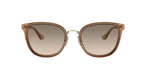 COACH Light Gold And Brown Frame Sunglasses - Light Brown Grey Gradient