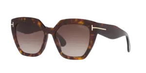 TOM FORD Sunglasses Brown Gradient
