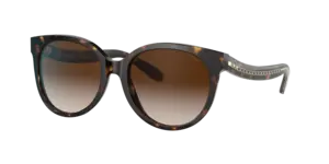 COACH Sunglass C6181 Brown Gradient