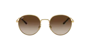 Ray-ban Sunglasses