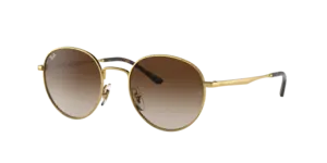Ray-ban Ray-Ban Unisex Sunglasses Gradient Brown