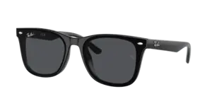 Ray-ban Ray-Ban Unisex Sunglasses Dark Grey
