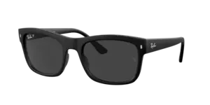 Ray-ban Ray-Ban Unisex Sunglasses Black
