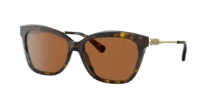 COACH Sunglasses Brown