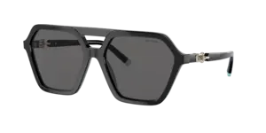 Tiffany & Co. Tiffany & Co. Full Rim Sunglasses Dark Grey