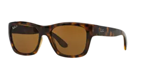 Ray-ban Sunglasses Brown