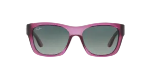 Ray-ban Sunglasses