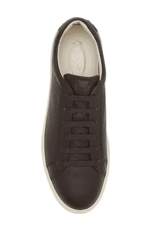 TOD'S Cassetta Sneaker - Caffe