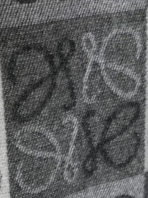 Loewe Anagram Fringed Scarf