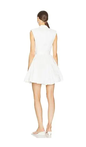 Alexis Cyrus Dress
