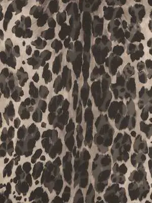 Roberto Cavalli Queen Of Sicily-print Scarf
