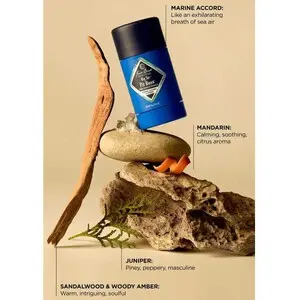 Jack Black Big Sir Pit Boss Antiperspirant & Deodorant - One-color