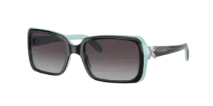 Tiffany & Co. Sunglasses - Grey Gradient