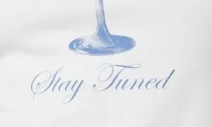 EDIKTED Tuned In Graphic Baby Tee