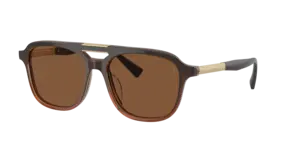 Brunello Cucinelli Sunglasses - Polar Brown