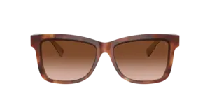Brunello Cucinelli Bc4009s Sunglasses - Quercia