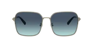 Tiffany & Co. Sunglasses