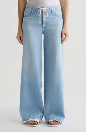 Ag Stella Wide Leg Drawstring Pants - Serendipity