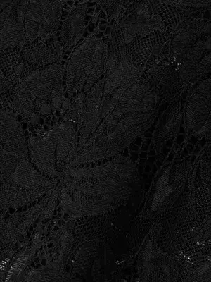 Rabanne Cropped Scalloped Stretch-lace Top - Black