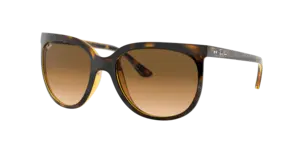Ray-ban Sunglasses