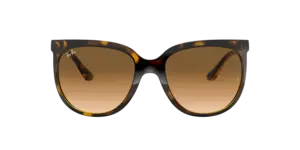 Ray-ban Sunglasses