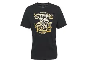 Nike Lebron Strive For Greatness T-shirt