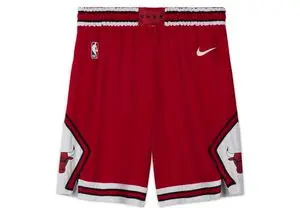 Nike Nba Chicago Bulls Swingman Icon Edition Drifit Shorts - Red