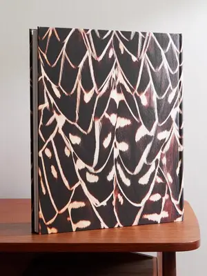 Assouline Falcons From Saudi Arabia Hardcover Book