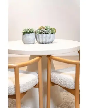 COCOBELLA Sandy Ceramic Succulent Arrangement