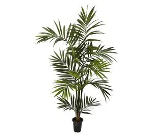 NEARLY NATURAL 6' Kenitia Palm Silk Tree By - One-color