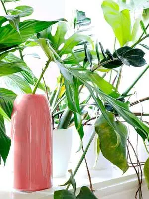 SCHÖNBUCH Medium Carla Ceramic Vase