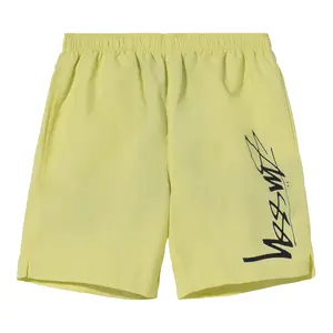 StÜssy Smooth Stock Water Short - Green