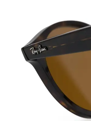 Ray-ban Oval-frame Sunglasses