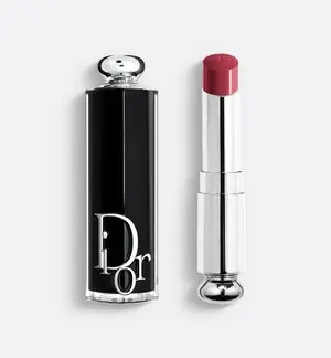 Dior Addict Hydrating Shine Refillable Lipstick - 667 Diormania