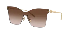 Tiffany & Co. Sunglasses - Brown Gradient